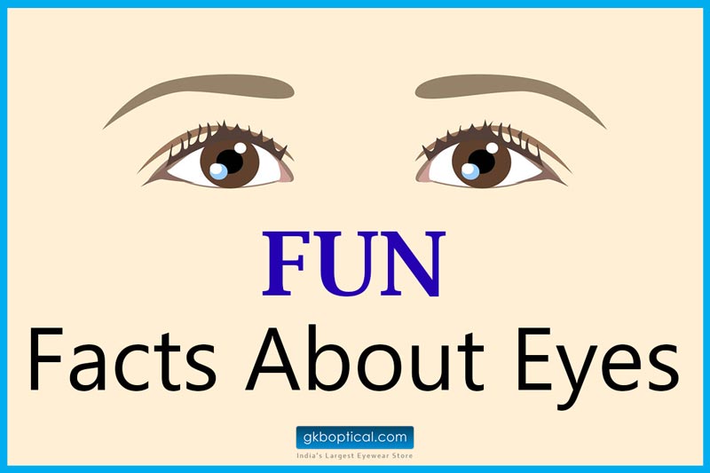 Fun Facts About Human Eye The GKB Eyewear Destination Fun Facts About Human Eye The GKB Eyewear Destination